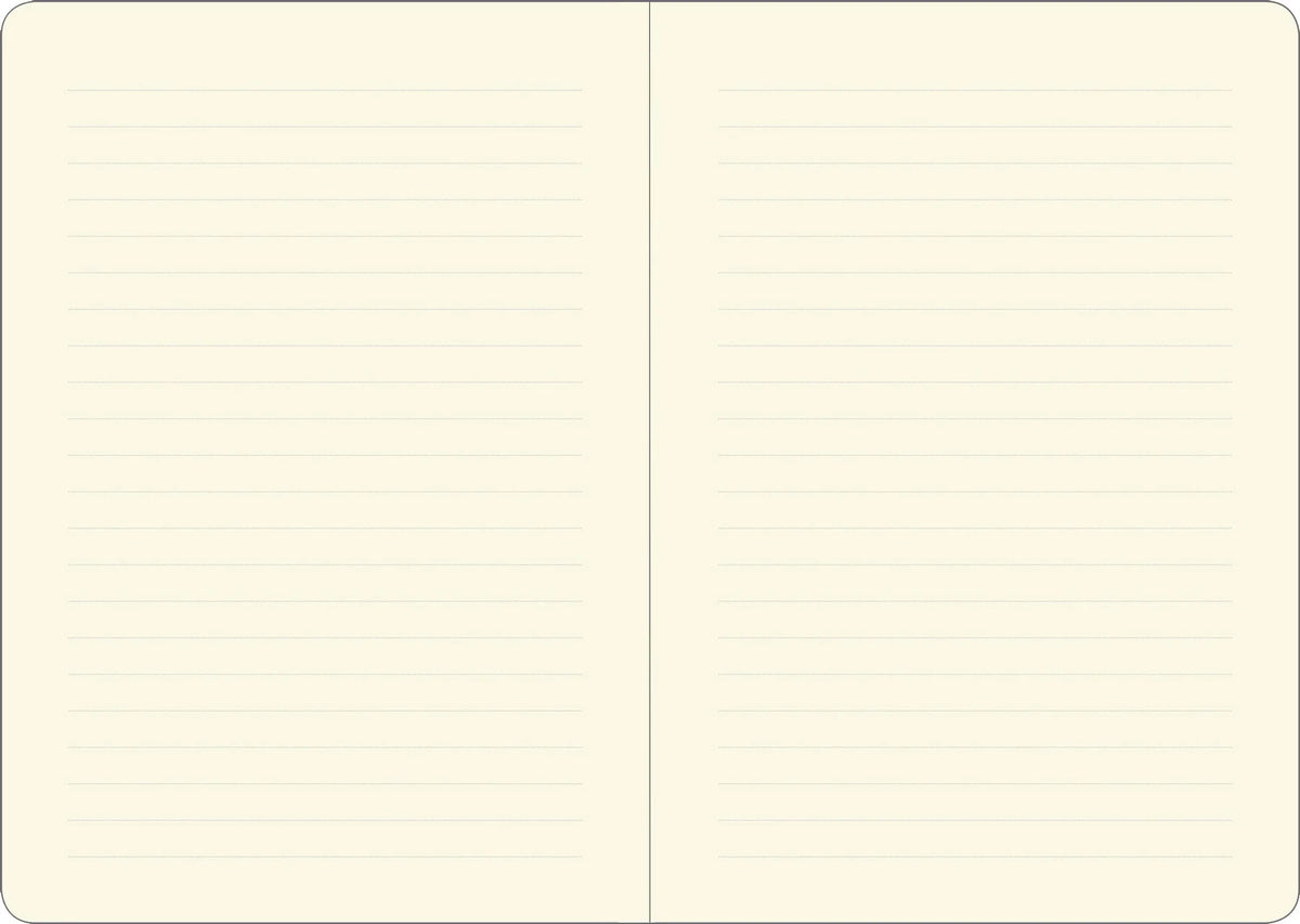 Aspen Forest Journal – Jacque Michelle